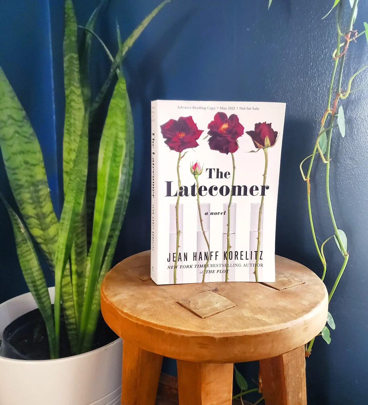 Pub Day Book Review: The Latecomer by Jean Hanff Korelitz – That ...
