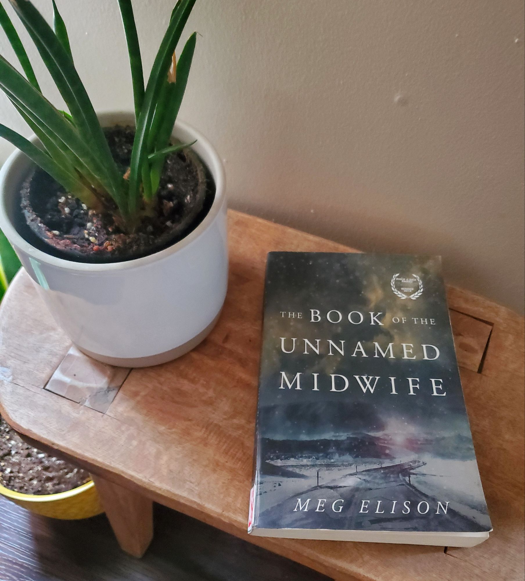 Book Review: The Book of the Unnamed Midwife by Meg Elison – That ...