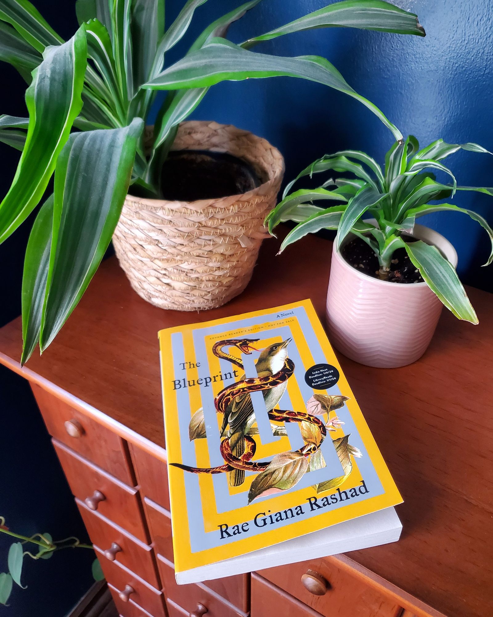 Book Review: The Blueprint by Rae Giana Rashad – That Bookish Life